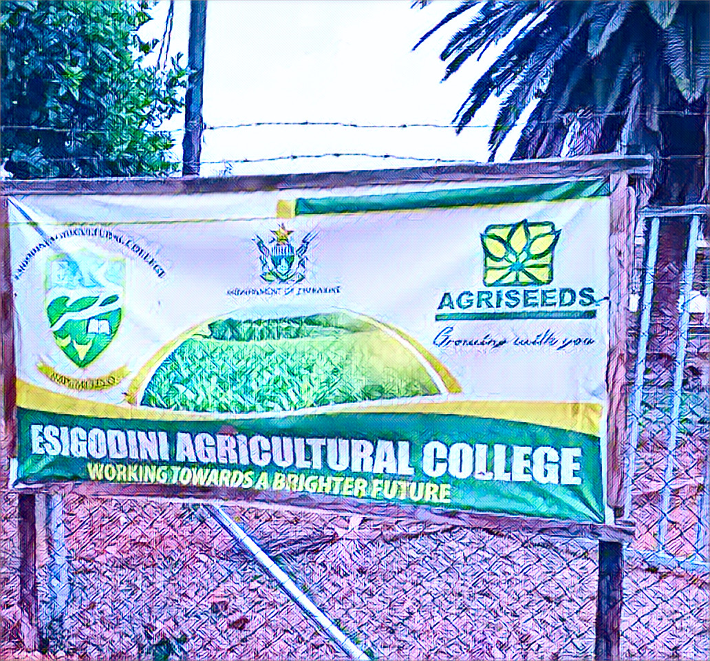Esigodini Agricultural College Students Risk Delayed Graduation