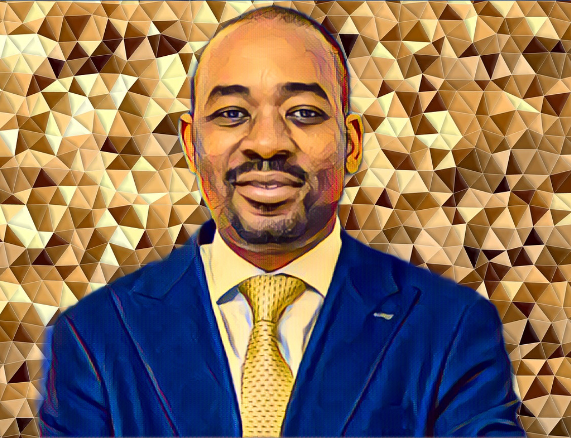 Chamisa Rejects Malema’s Call for Zimbabweans to Vote Amid Election ...