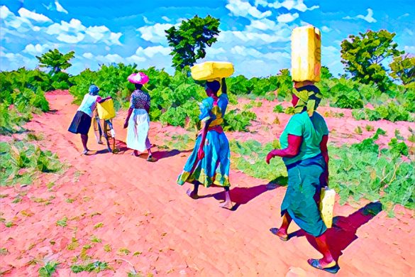 The Role of NGOs in Supporting Zimbabwe’s Rural Areas