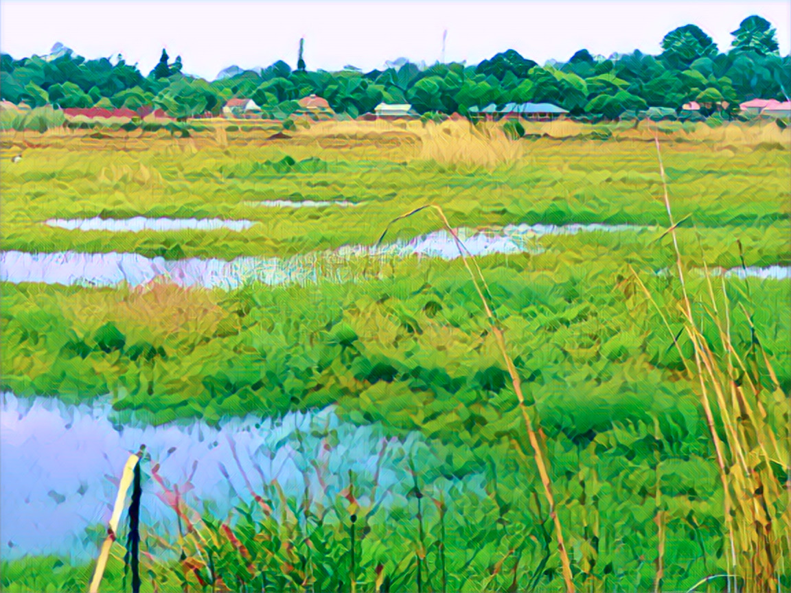 Zimbabwe Prioritizes Wetlands Conservation