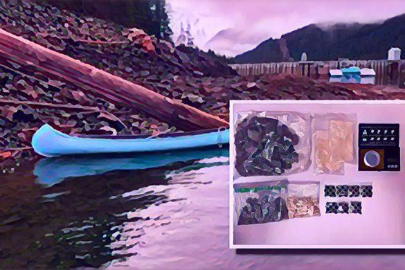 Zimbabwe Crime Rate Increases Slightly, Theft, Homicide Cases Rise