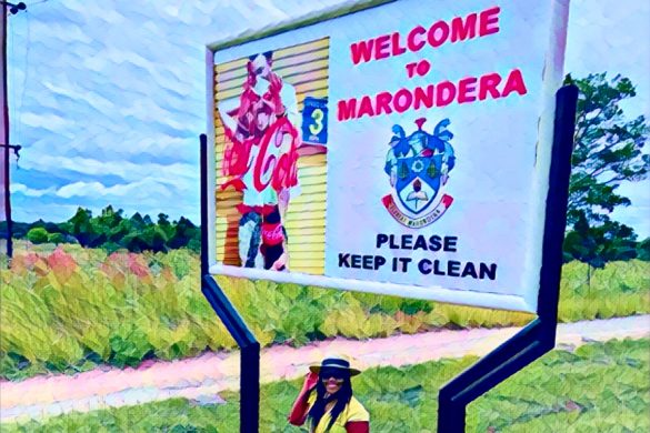 Mnangagwa Names Stephen Mutamba as Zimbabwe’s New Police Chief